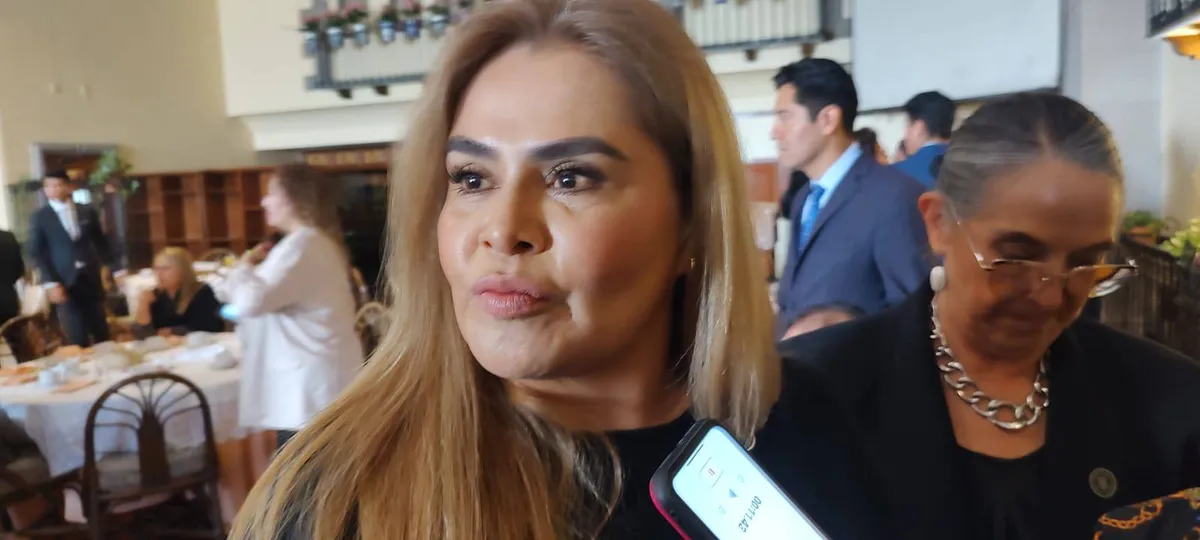 Se apunta Erika Icela Castillo Vega para presidir el Poder Judicial ...