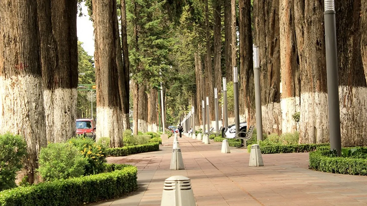 Paseo Colón, toda una tradición toluqueña | La Jornada Estado de México