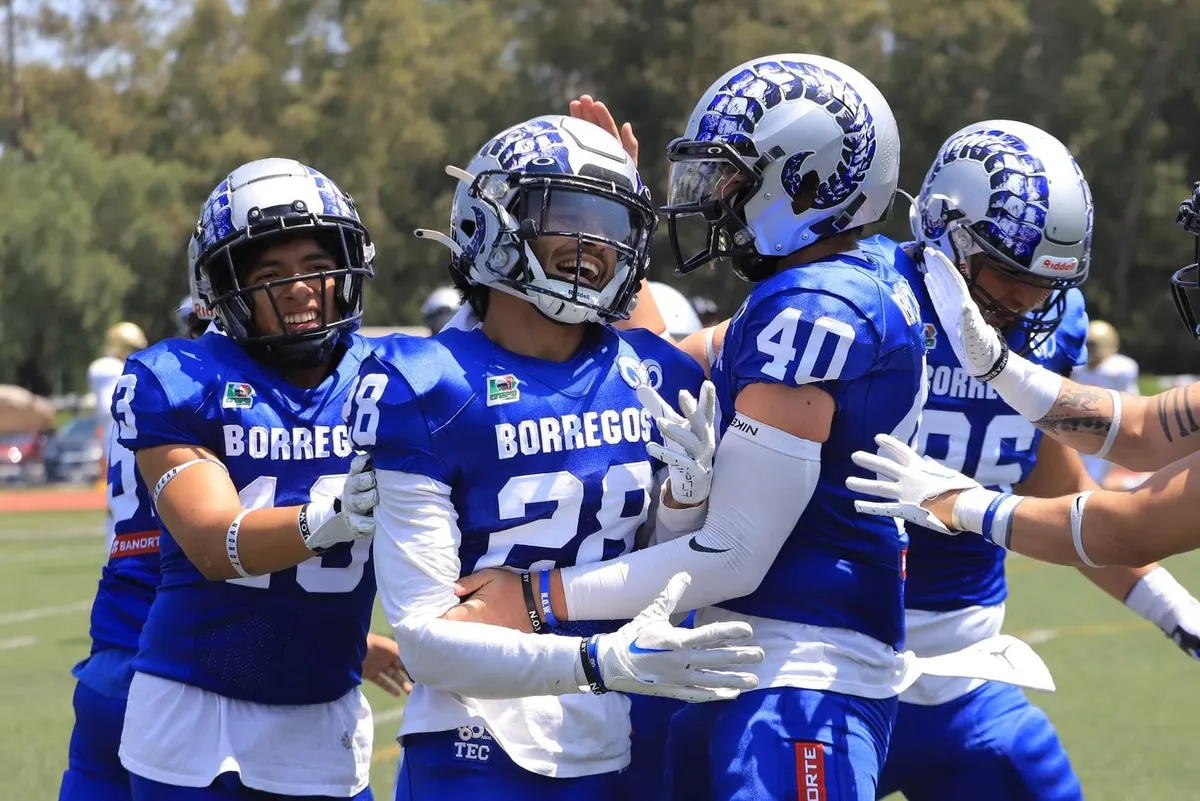 ONEFA: En la semana 6 se comienza a esclarecer el futuro de los ...