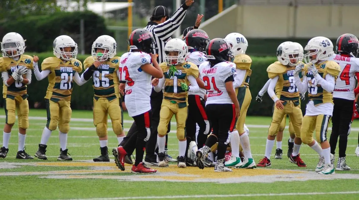 Cancelan temporada de otoño de la ONEFA en categorías Babys e ...