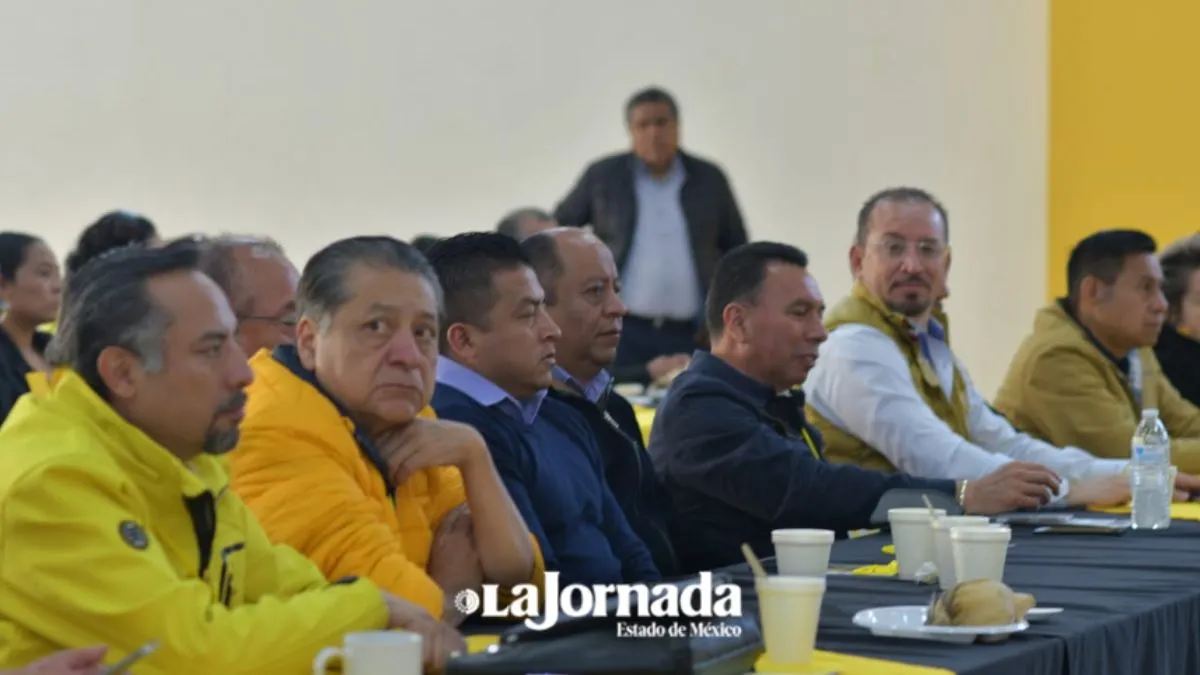 PRD proyecta constituirse como partido este mes | La Jornada Estado de ...