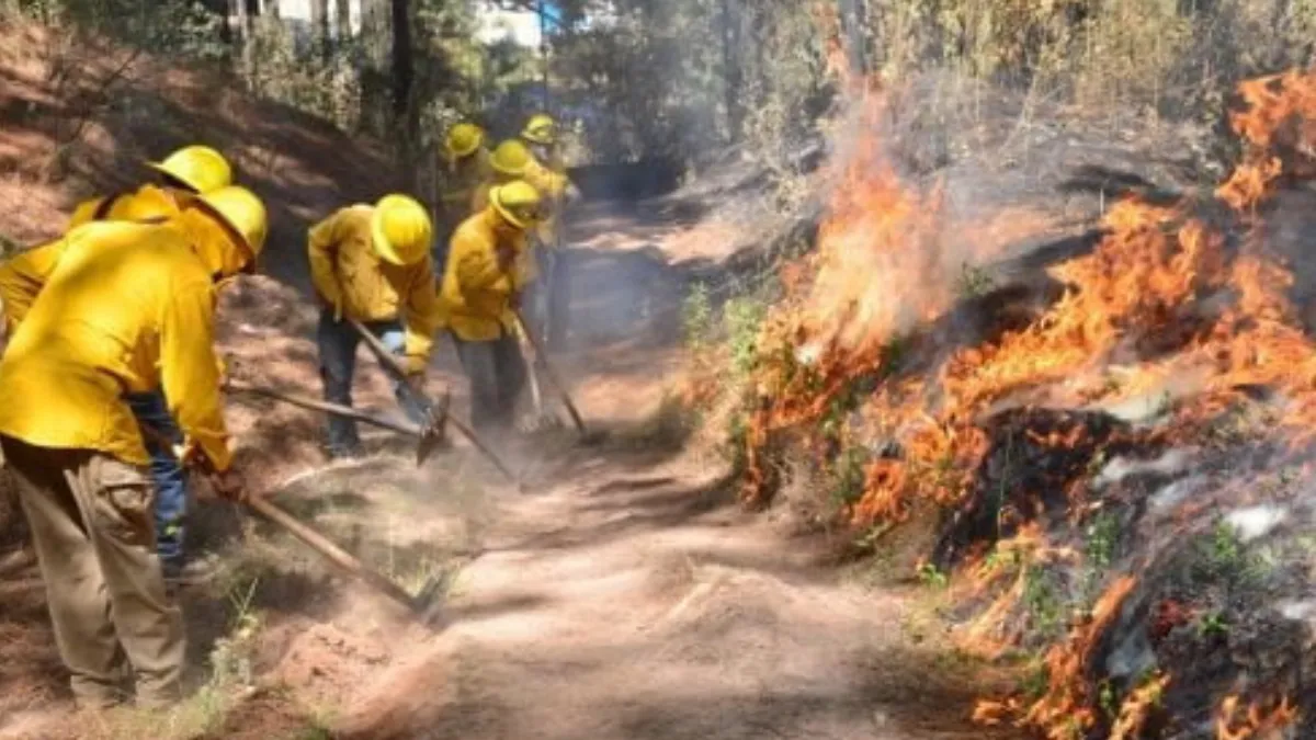 Edomex En 5 Meses Incendios Forestales Superan Cifra Reportada En 2023