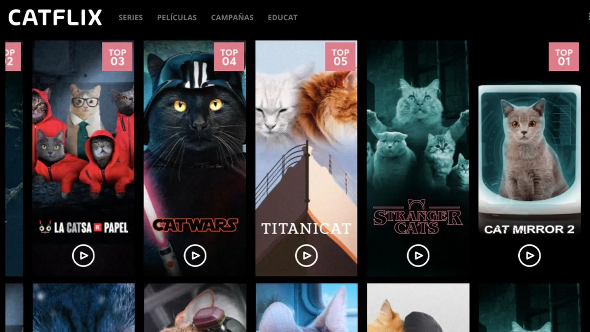 Catflix: Tus series favoritas, pero con tiernos gatitos | La Jornada ...
