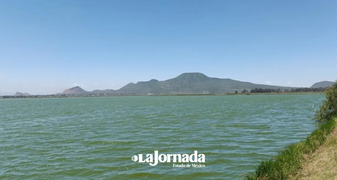 La Jornada Estado de México