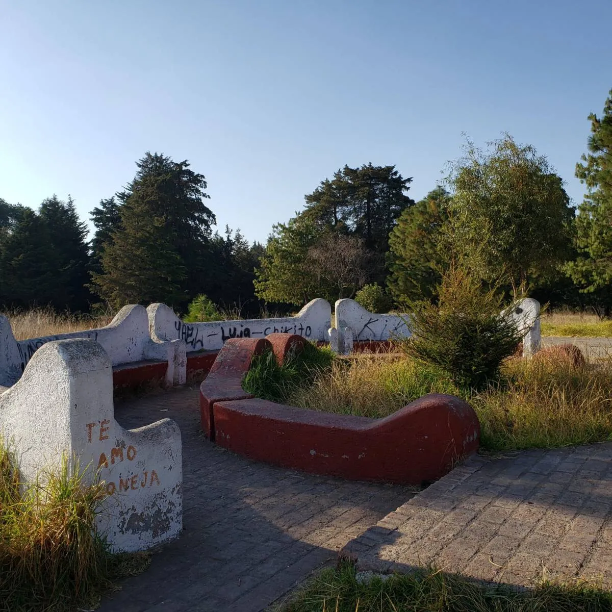 Toluca olvida el Parque Alameda 2000 | La Jornada Estado de México