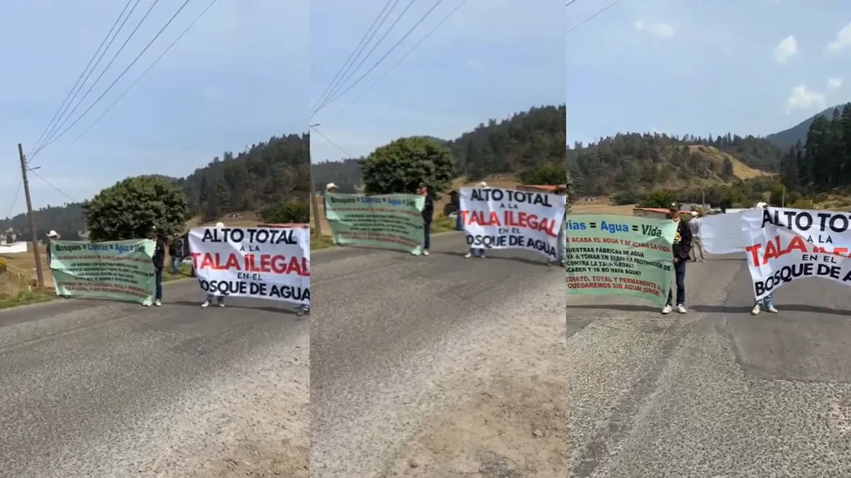 Habitantes de Ocuilan realizan bloqueo contra de la tala ilegal | La ...
