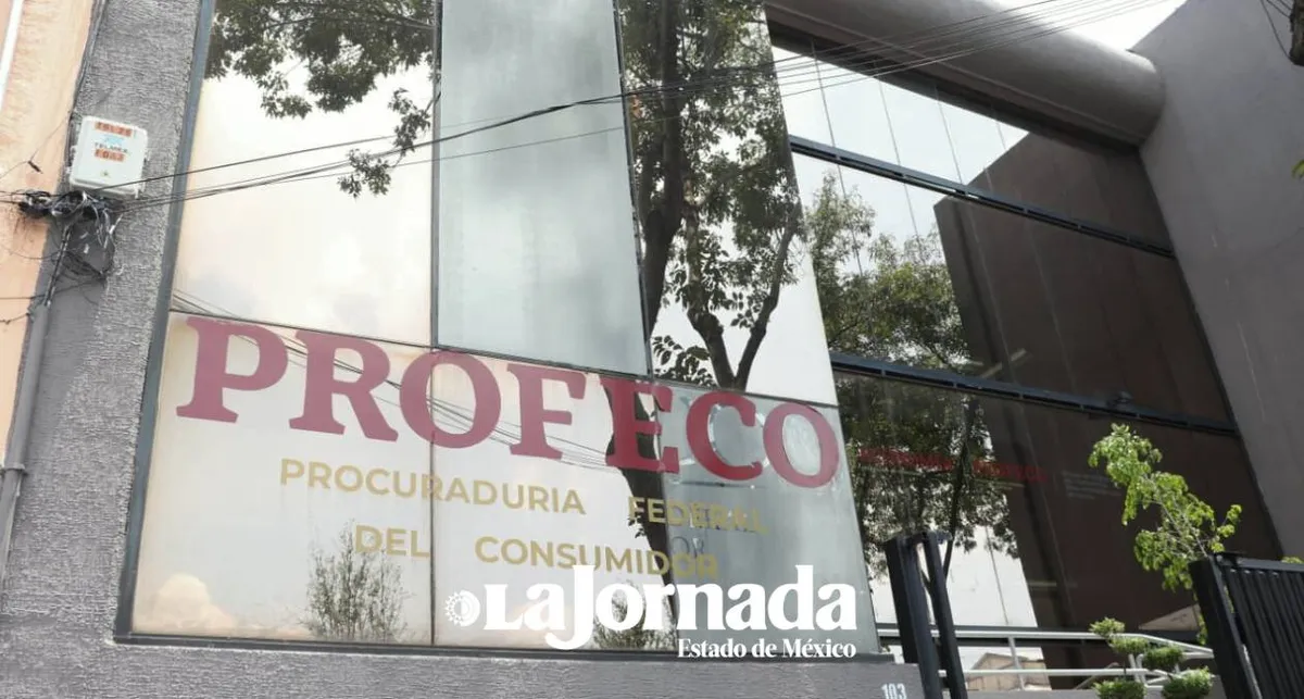 Profeco llama a papeleras a respetar derechos del consumidor | La ...